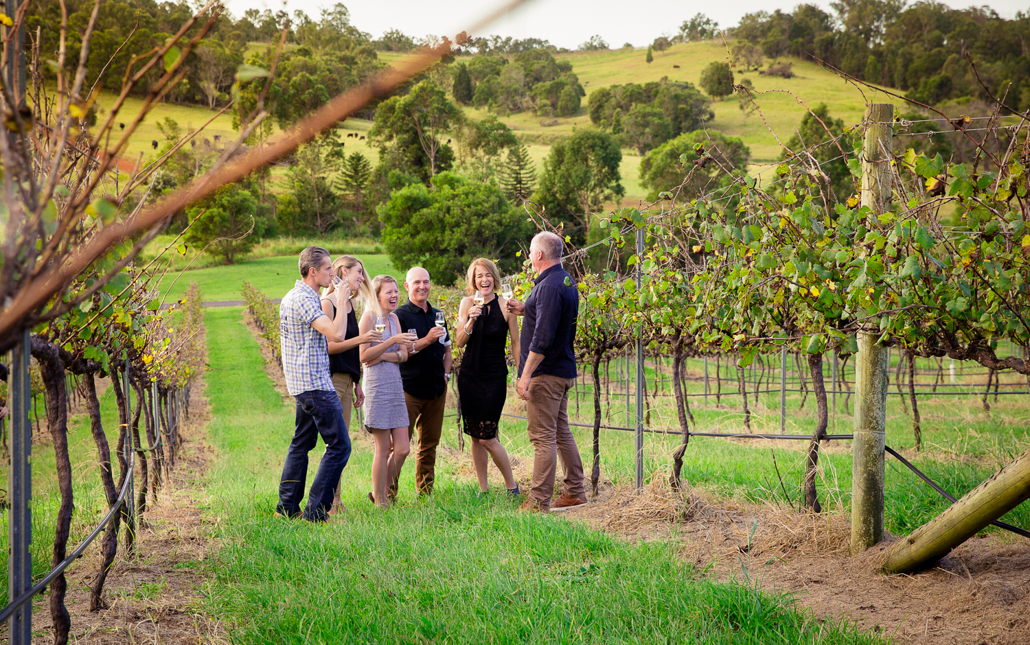 Ocean View Estates - Award-Winning Brisbane Winery and Restaurant
