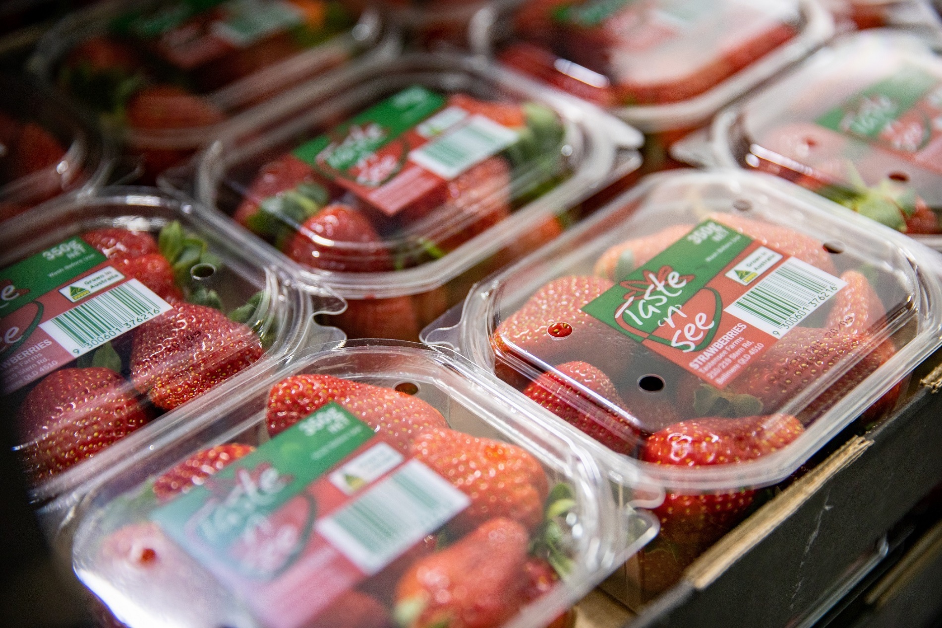 Berry exciting: Strawberry farmers open new café to sweeten your day