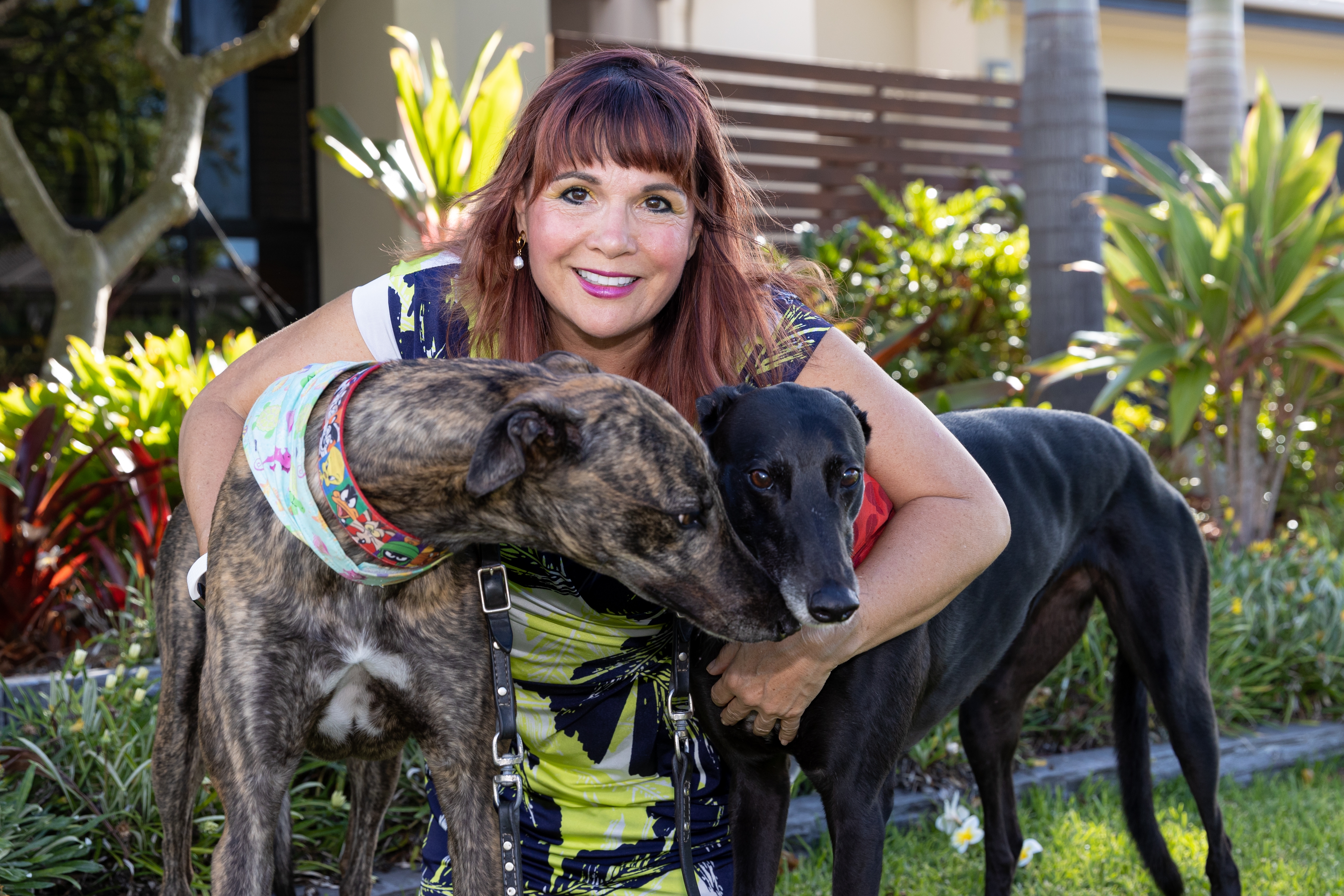 Why Victoria took lead in rescured greyhound group