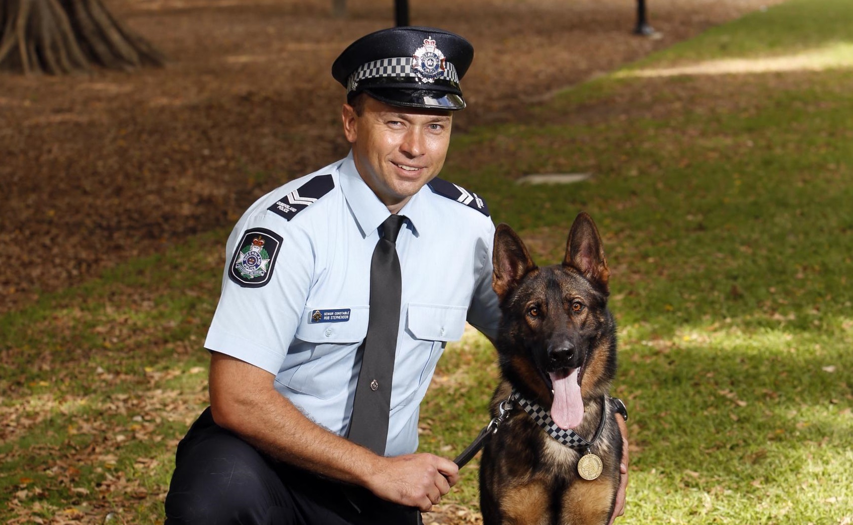Vale Police Dog Crash