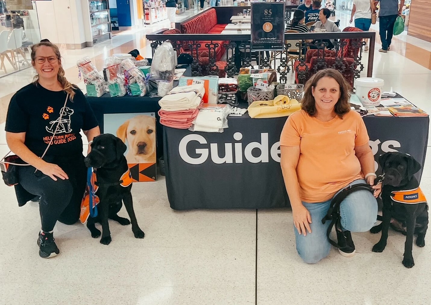Guide Dog Davey learning the ropes
