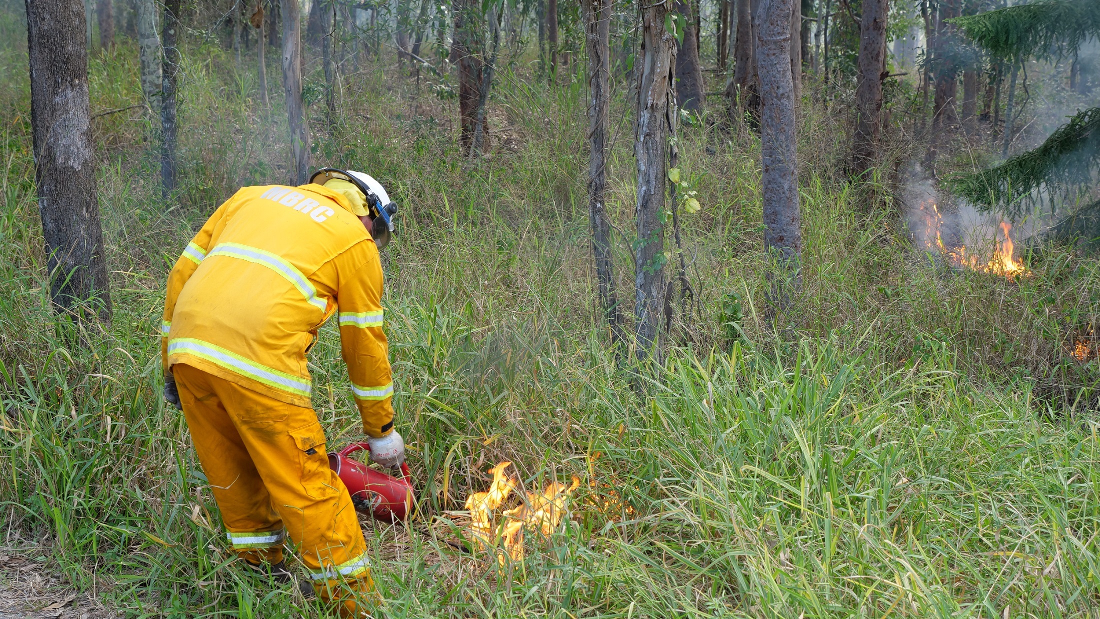 Controlled burn Burpengary
