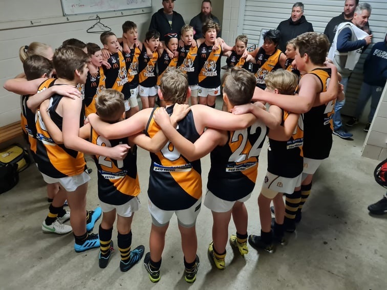 Tigers hosting junior finals at home