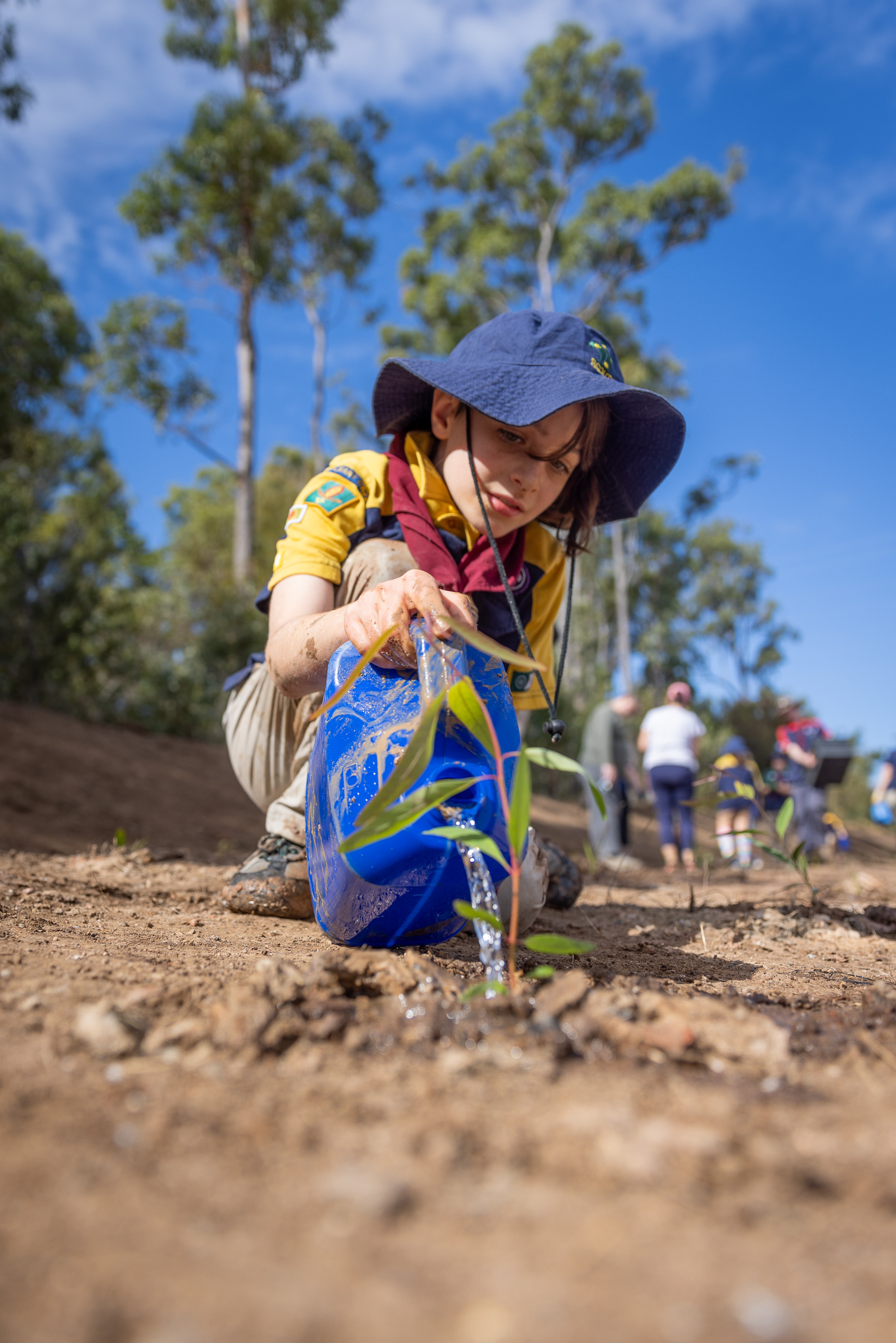 Scouts help plant hundreds of trees