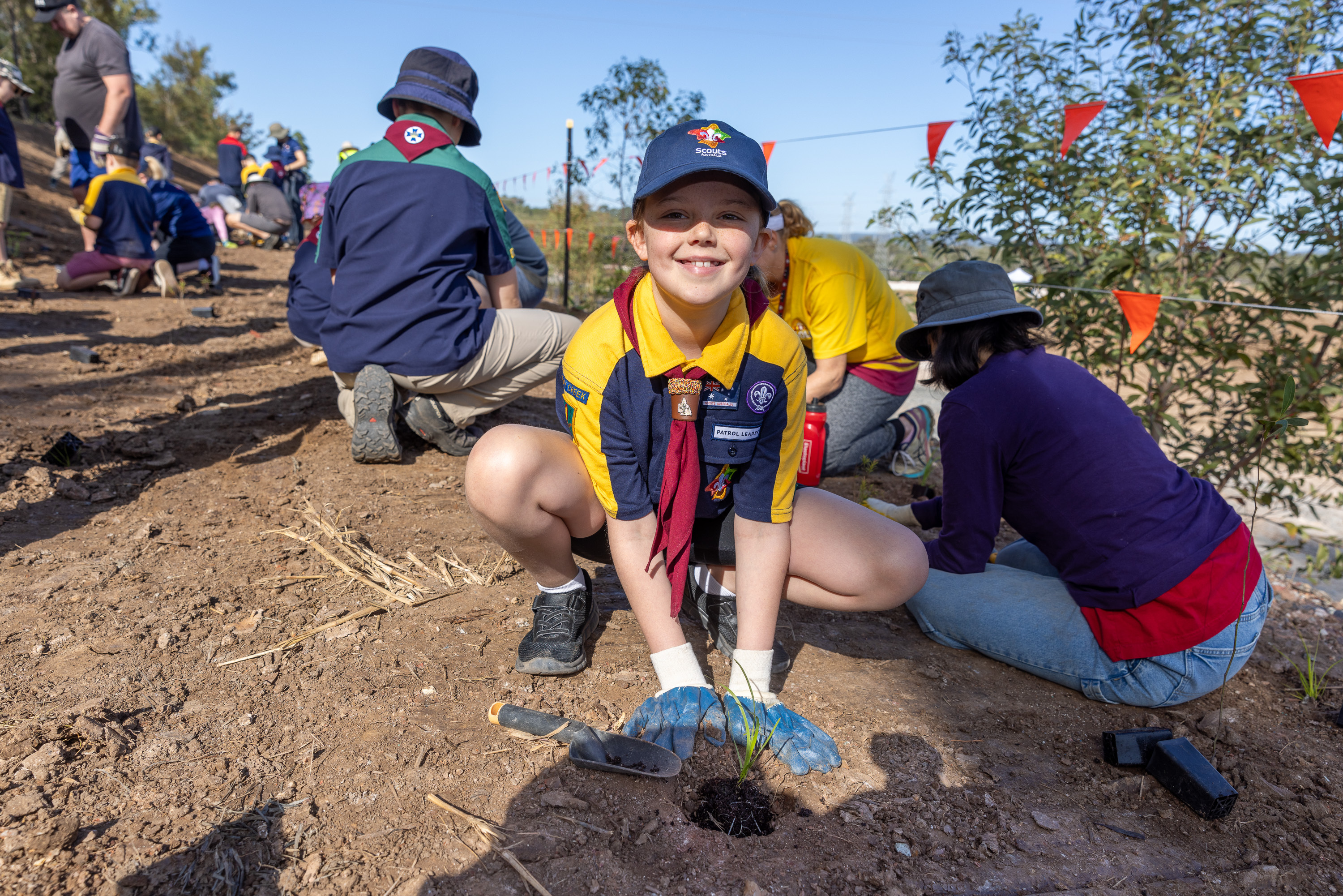 Scouts help plant hundreds of trees