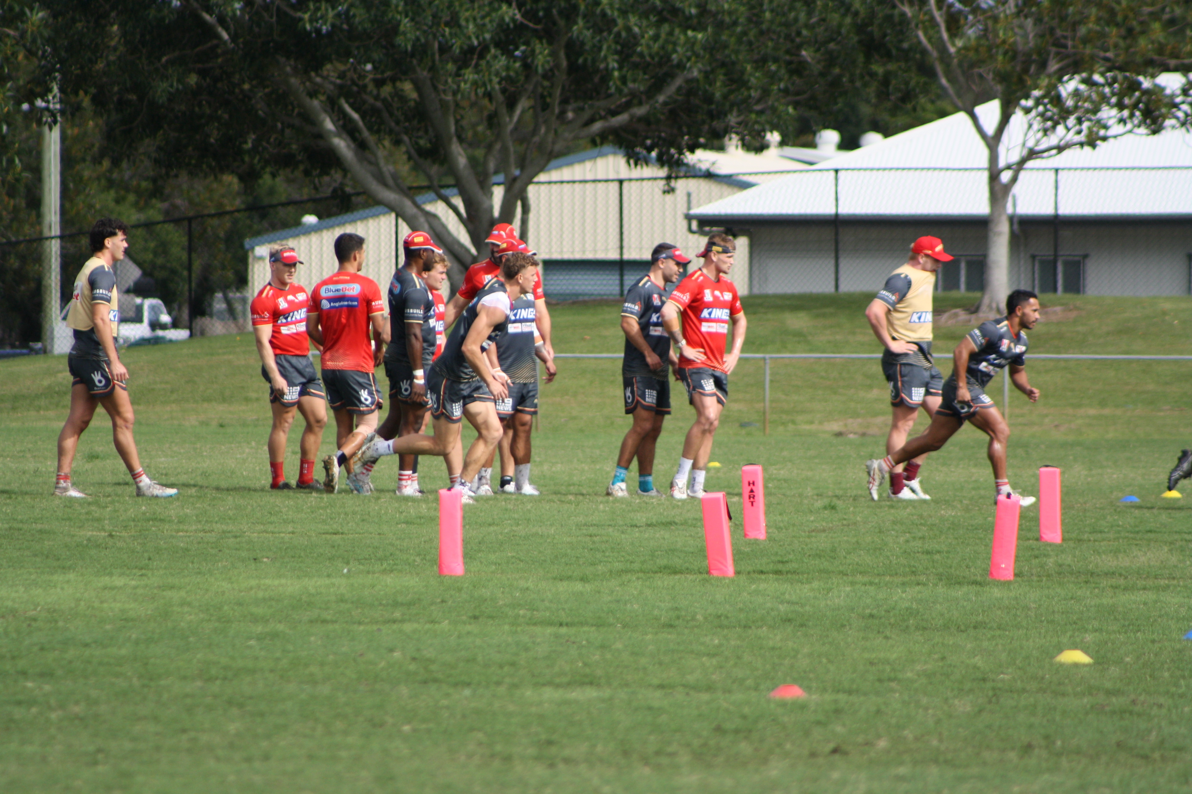 Dolphins NRL: Young gun Bostock steps up