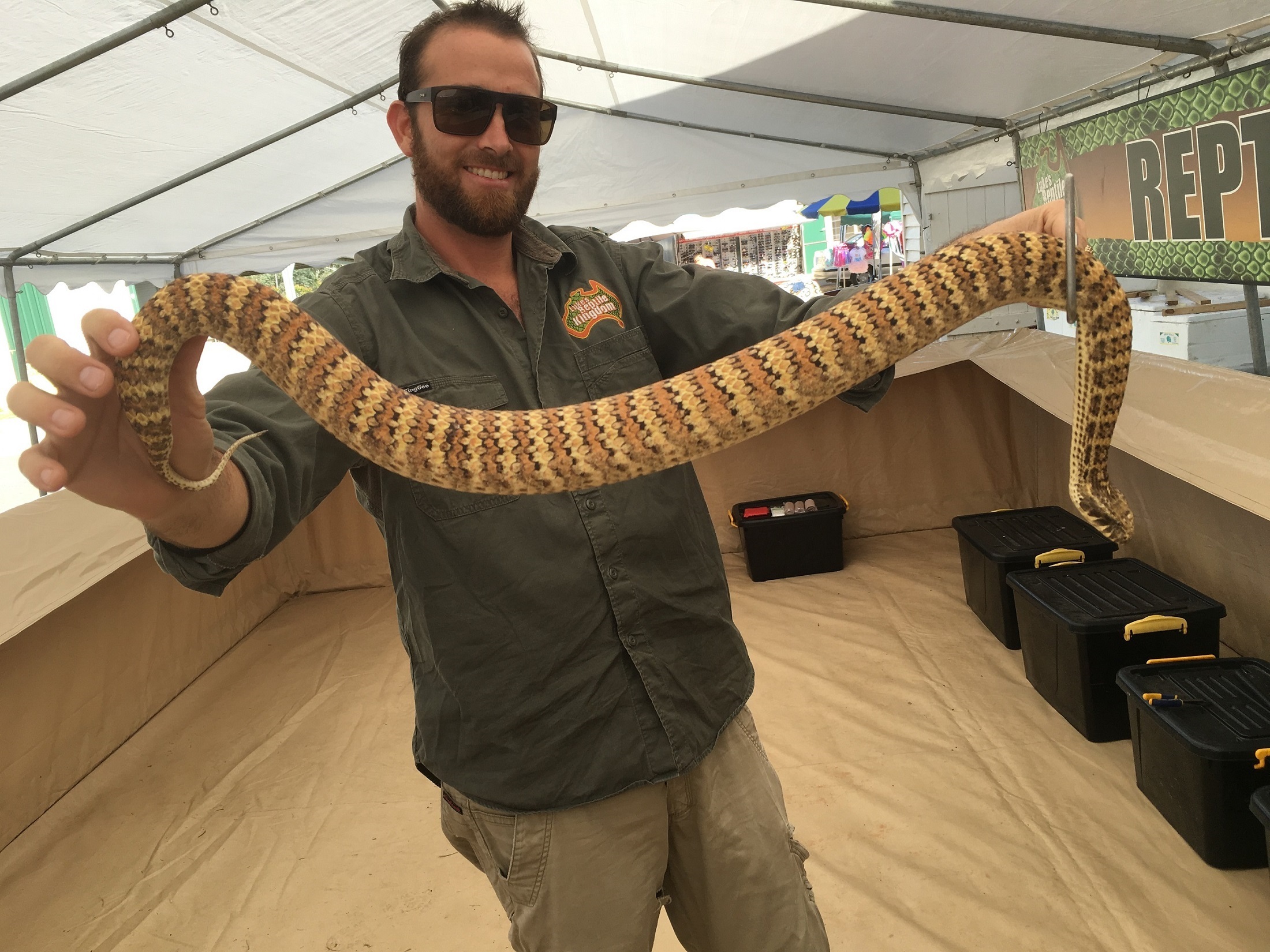 Fun for all: Your preview to the 65th annual Dayboro Show