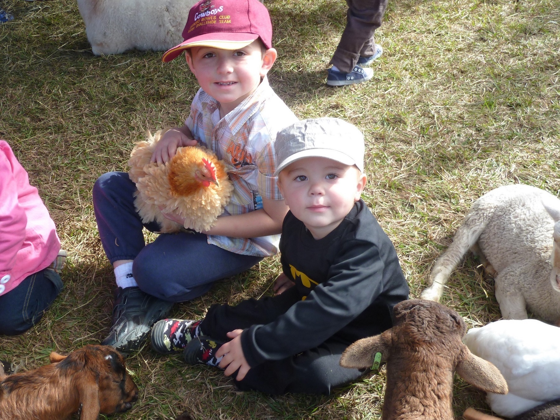 Fun for all: Your preview to the 65th annual Dayboro Show