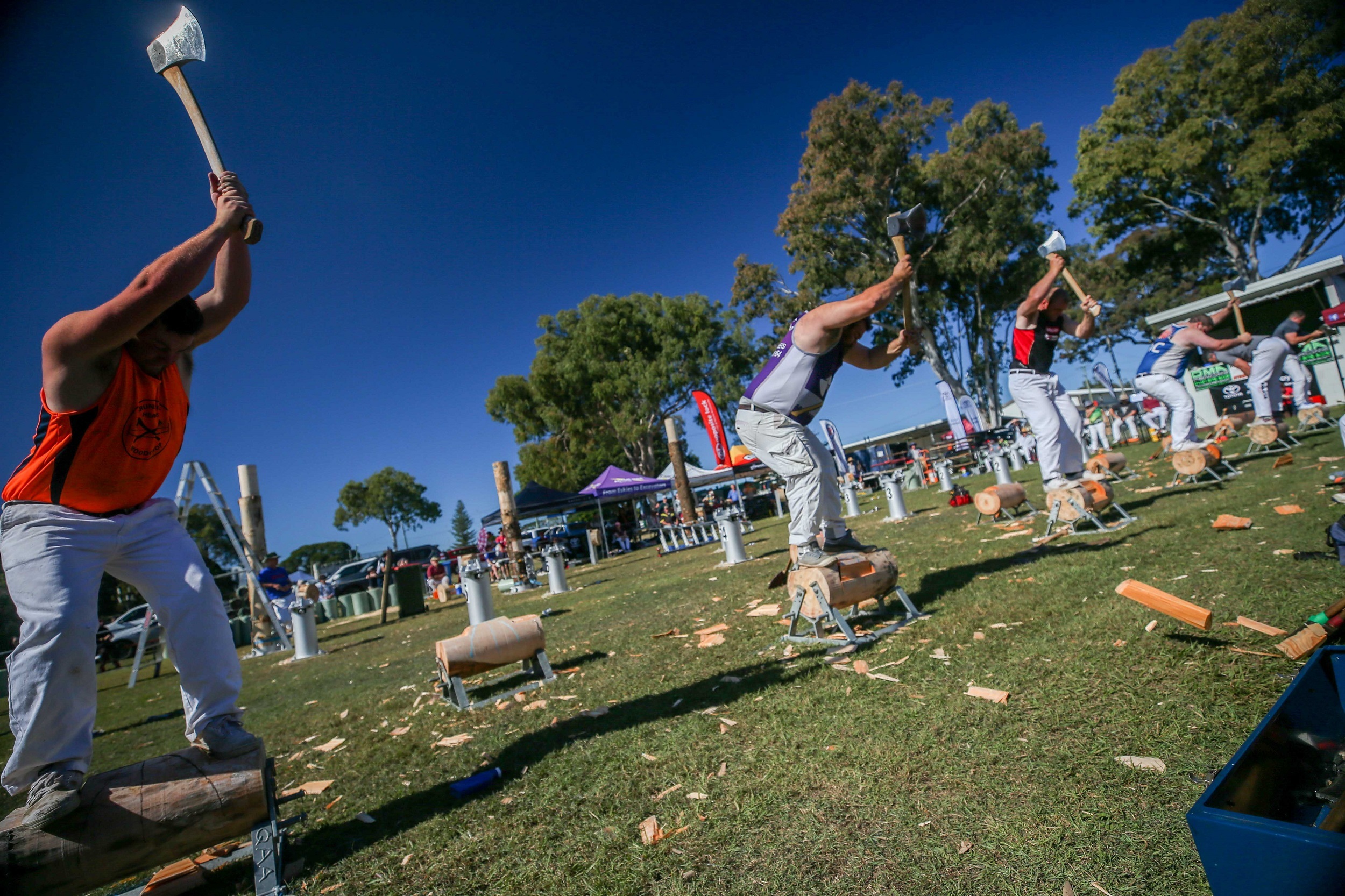 Roll up, roll up to Redcliffe Show