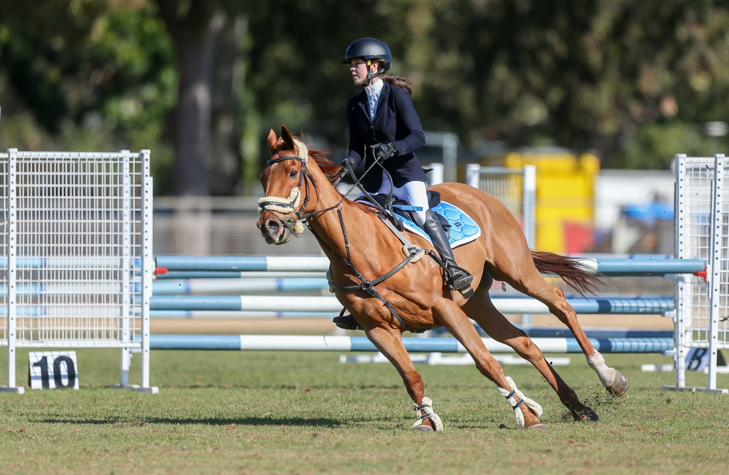 Huge Redcliffe Show program