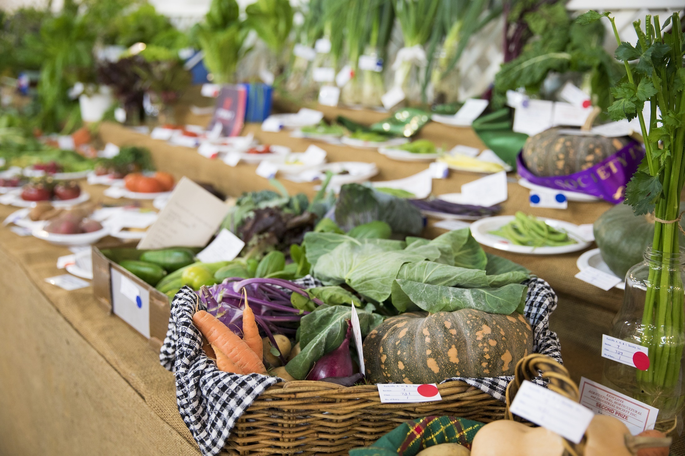 Excitement builds ahead of Redcliffe Show