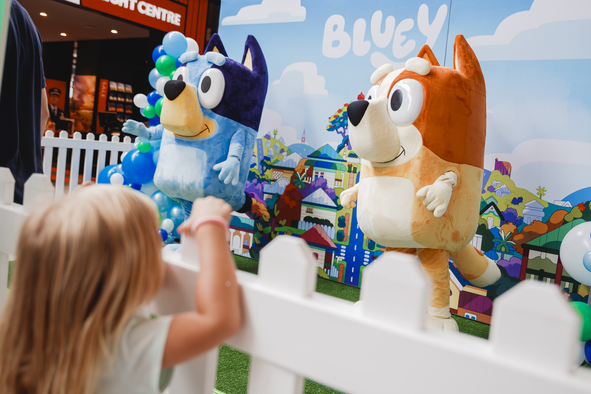 Bluey and Bingo to headline KiteFest