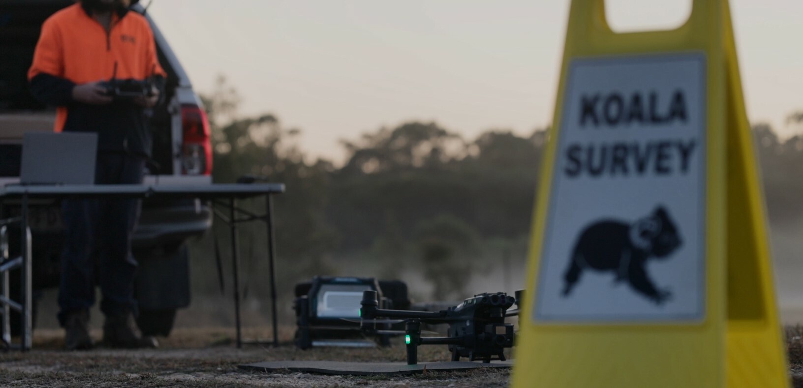 Lift off for new koala count