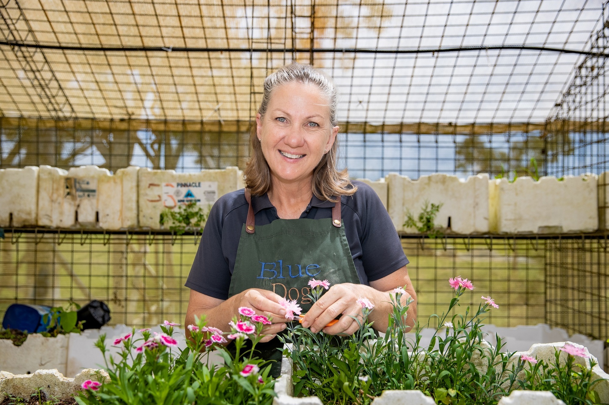 Stock up at Inaugural Moreton Bay Farm Trail