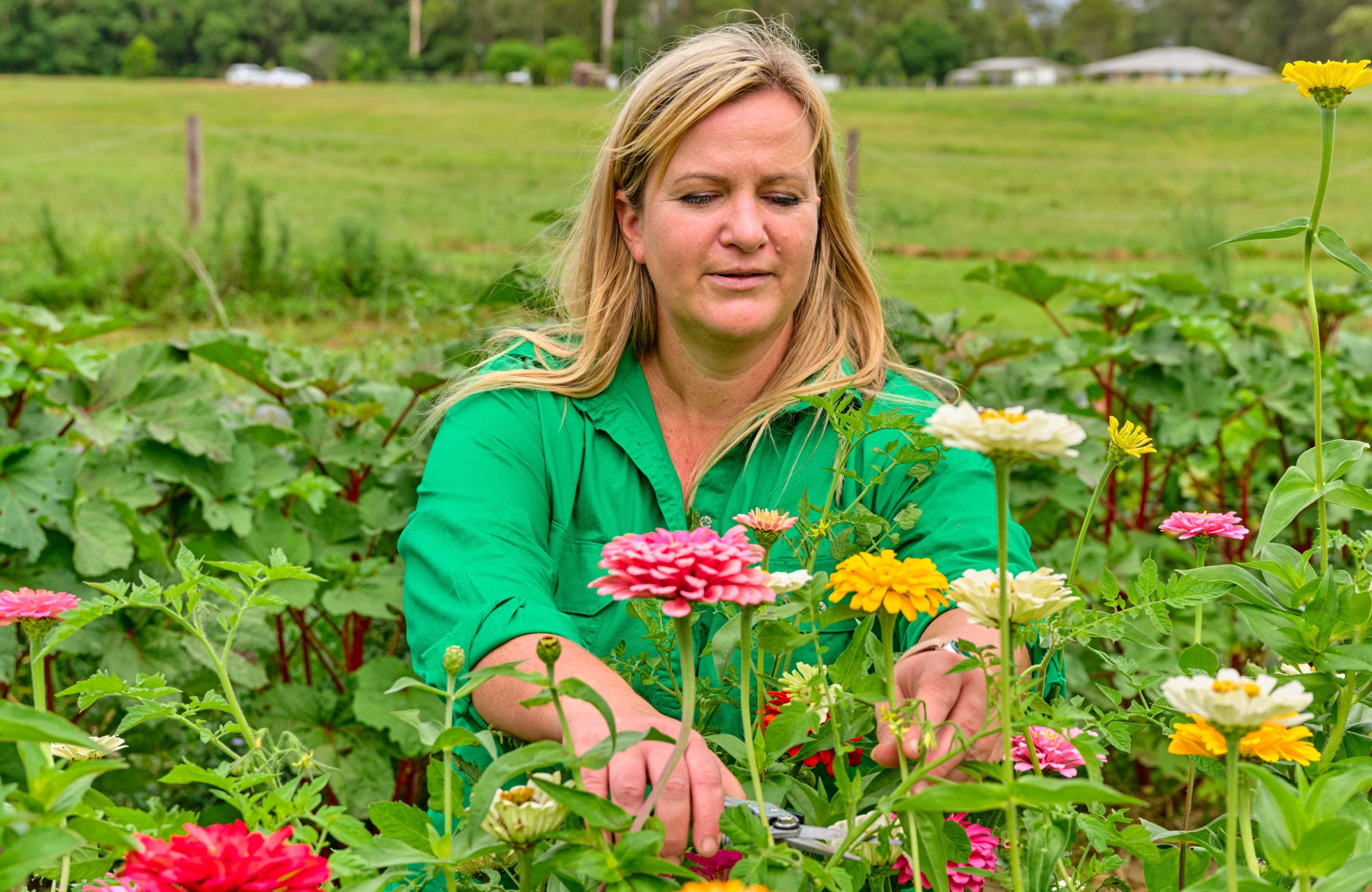 Stock up at Inaugural Moreton Bay Farm Trail