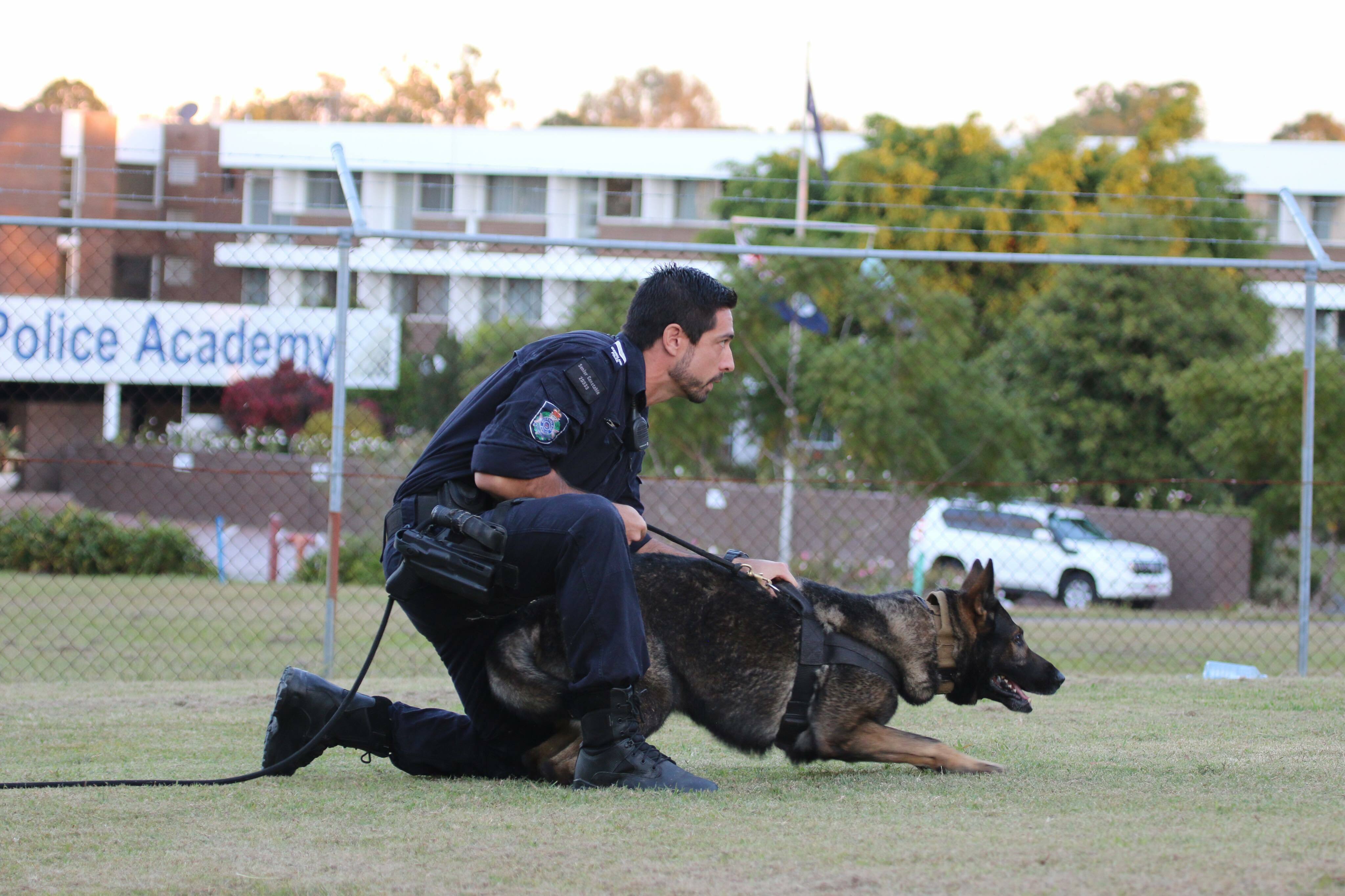 Vale retired Police Dog Kaos