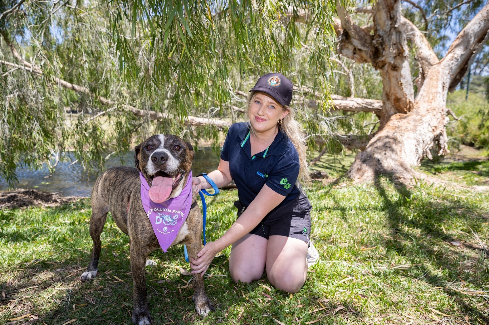 Be a hero for animals in need