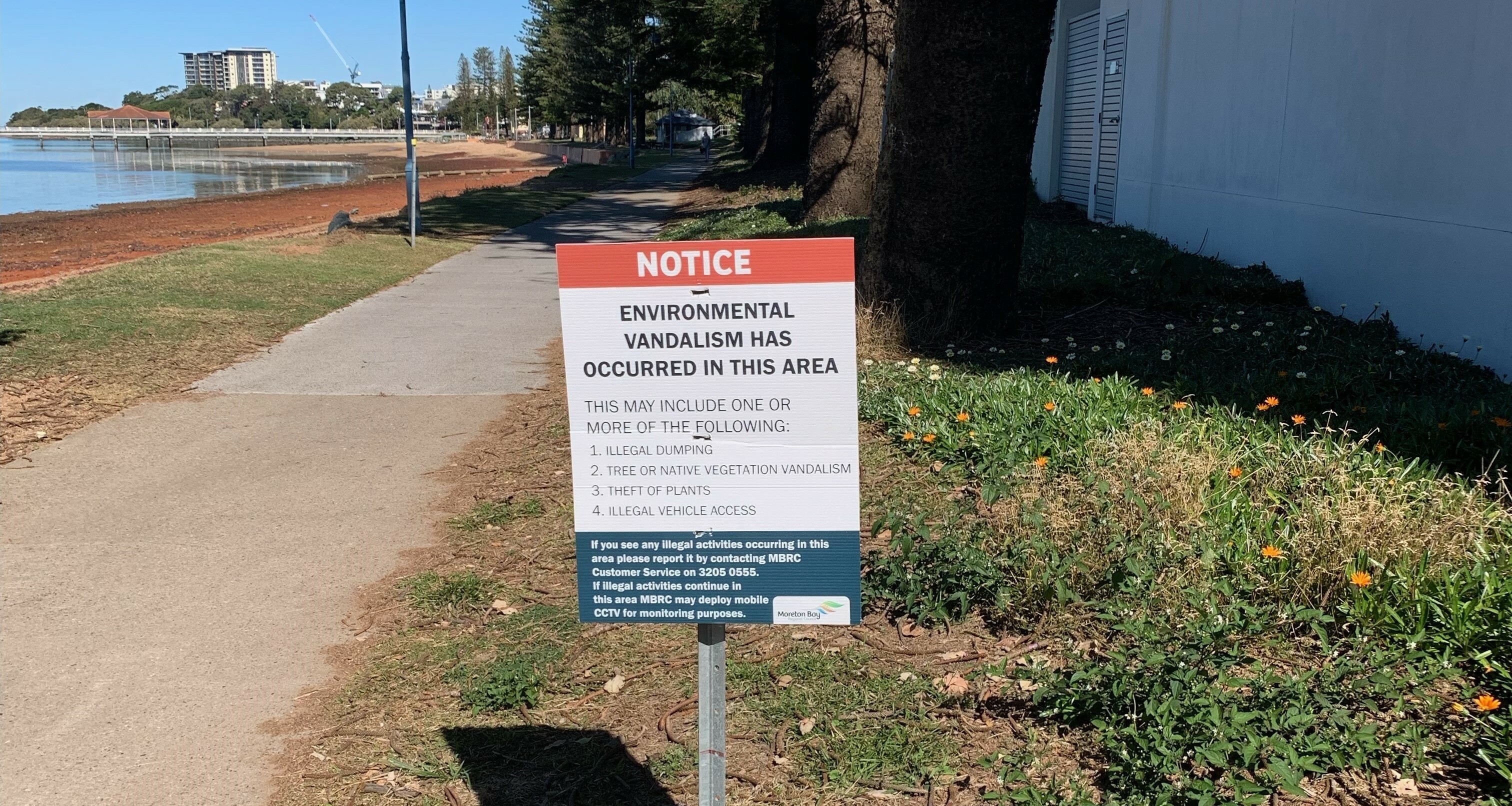 Beach-front tree deliberately poisoned