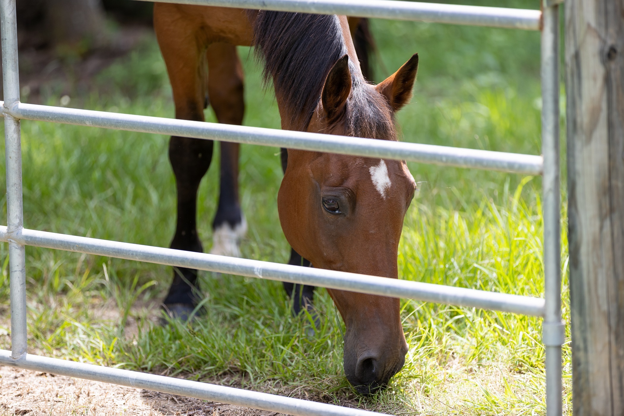Volunteers needed to help disabled riders