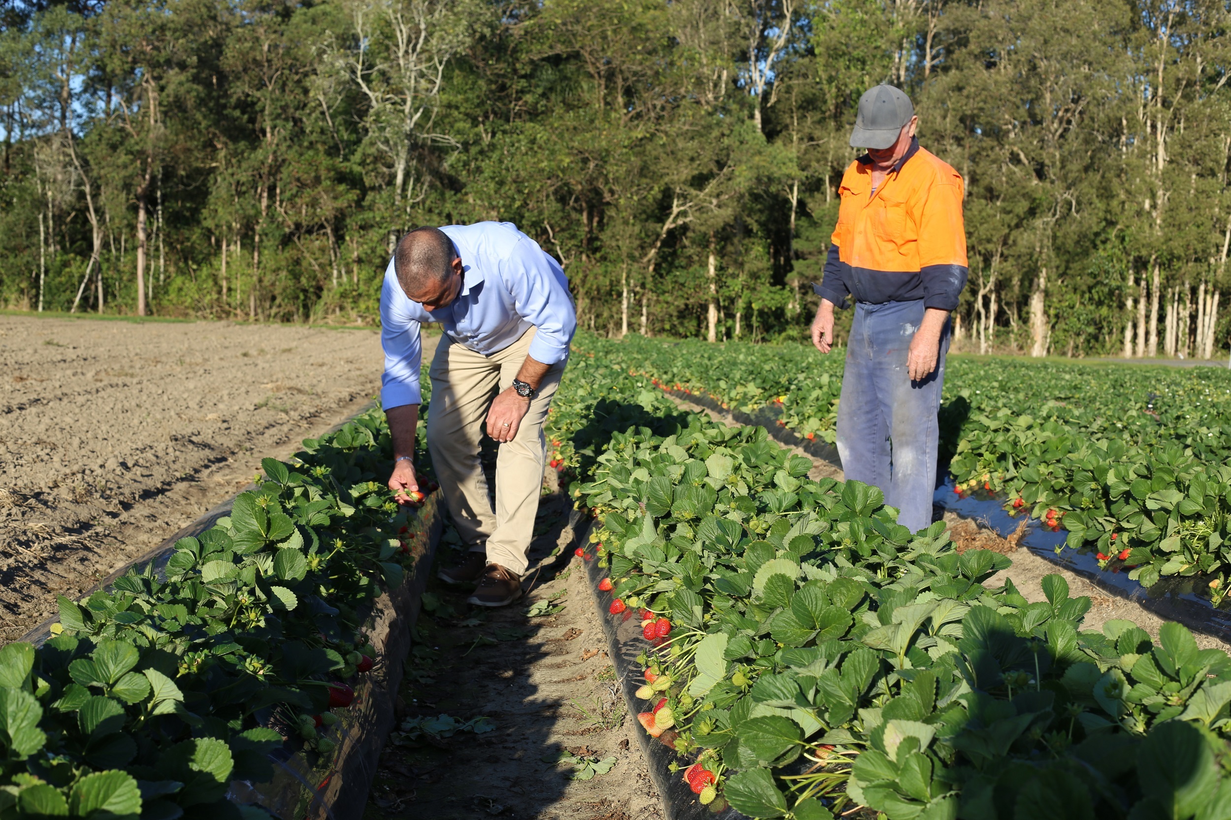 School-leavers urged to pick a gap year