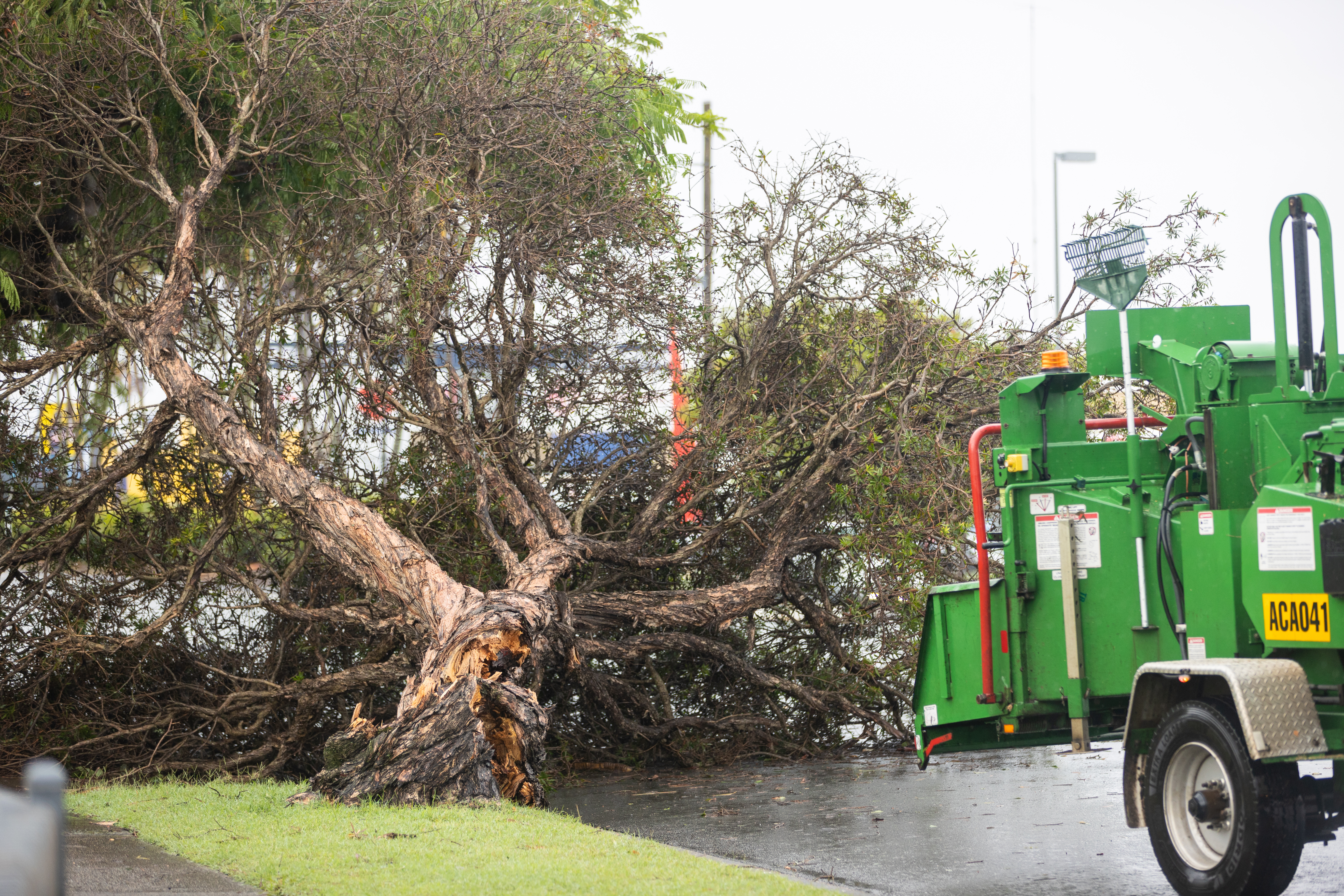 Your guide to the 2025 Redcliffe Show
