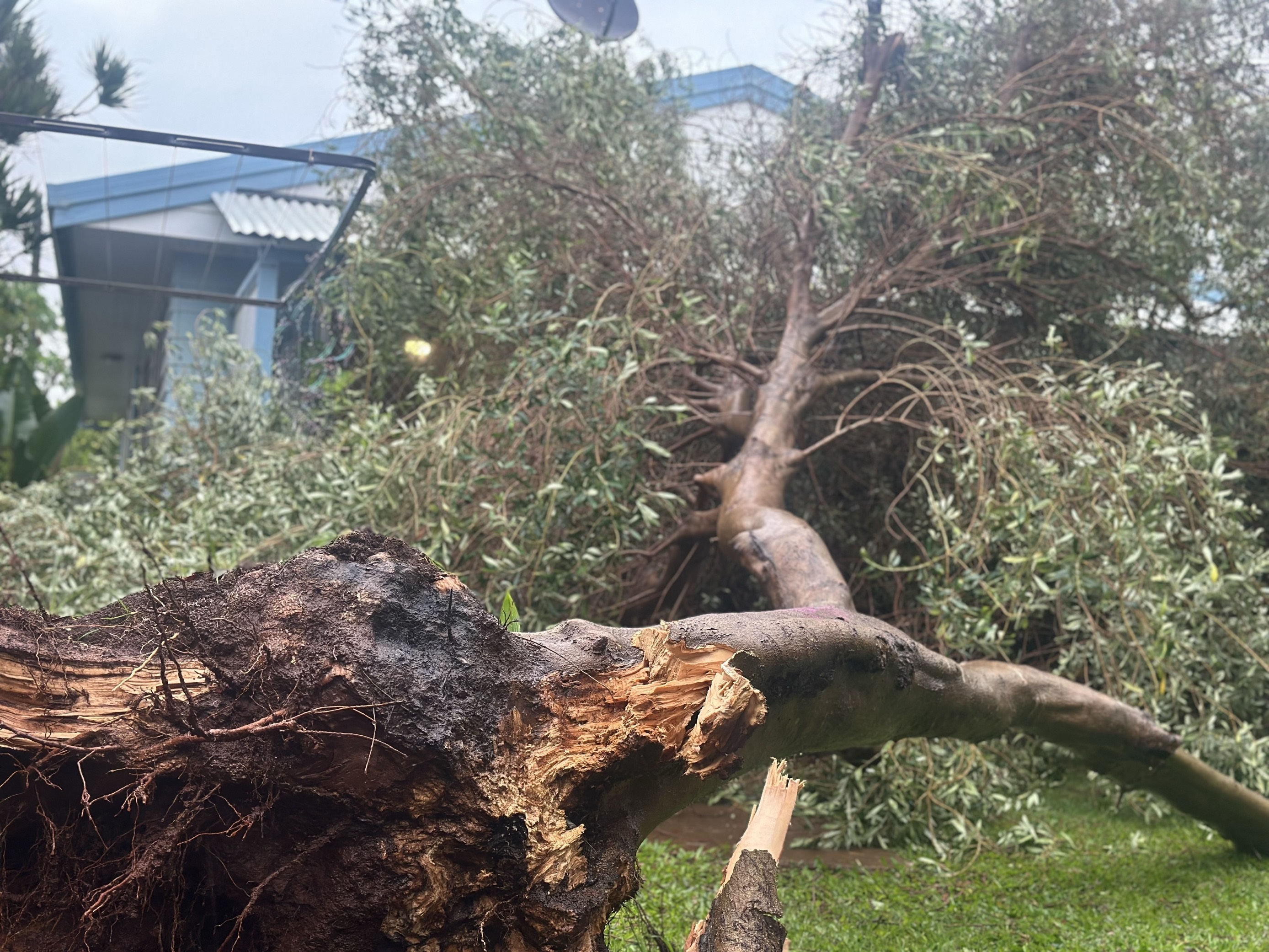 Ex-Tropical Cyclone Alfred smashes Moreton Bay