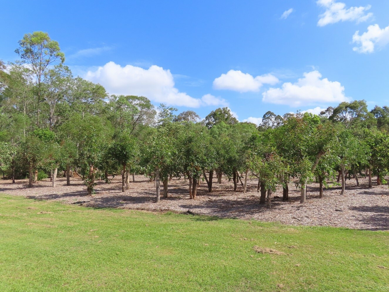 New sites to help native wildlife
