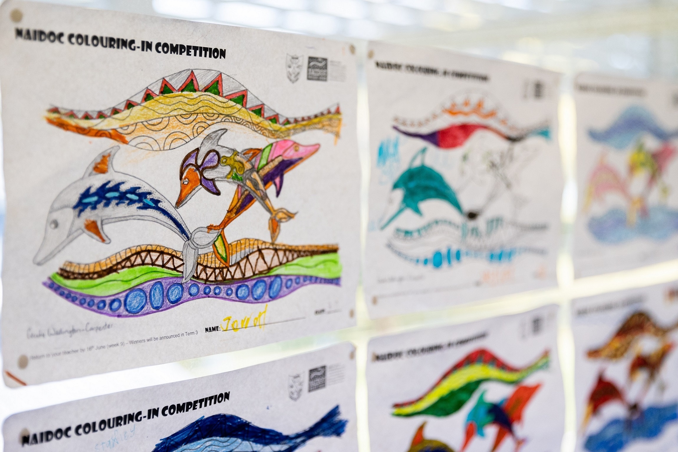 Students celebrate NAIDOC Week with new yarning circle