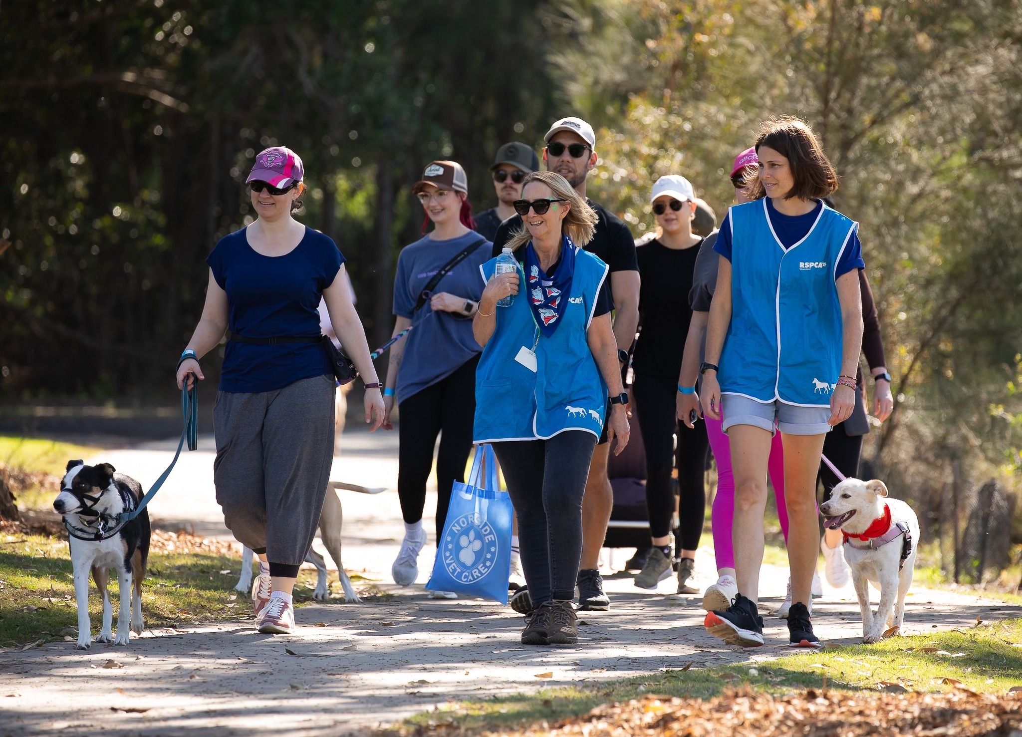 Dog lovers unite for RSPCA Million Paws Walk