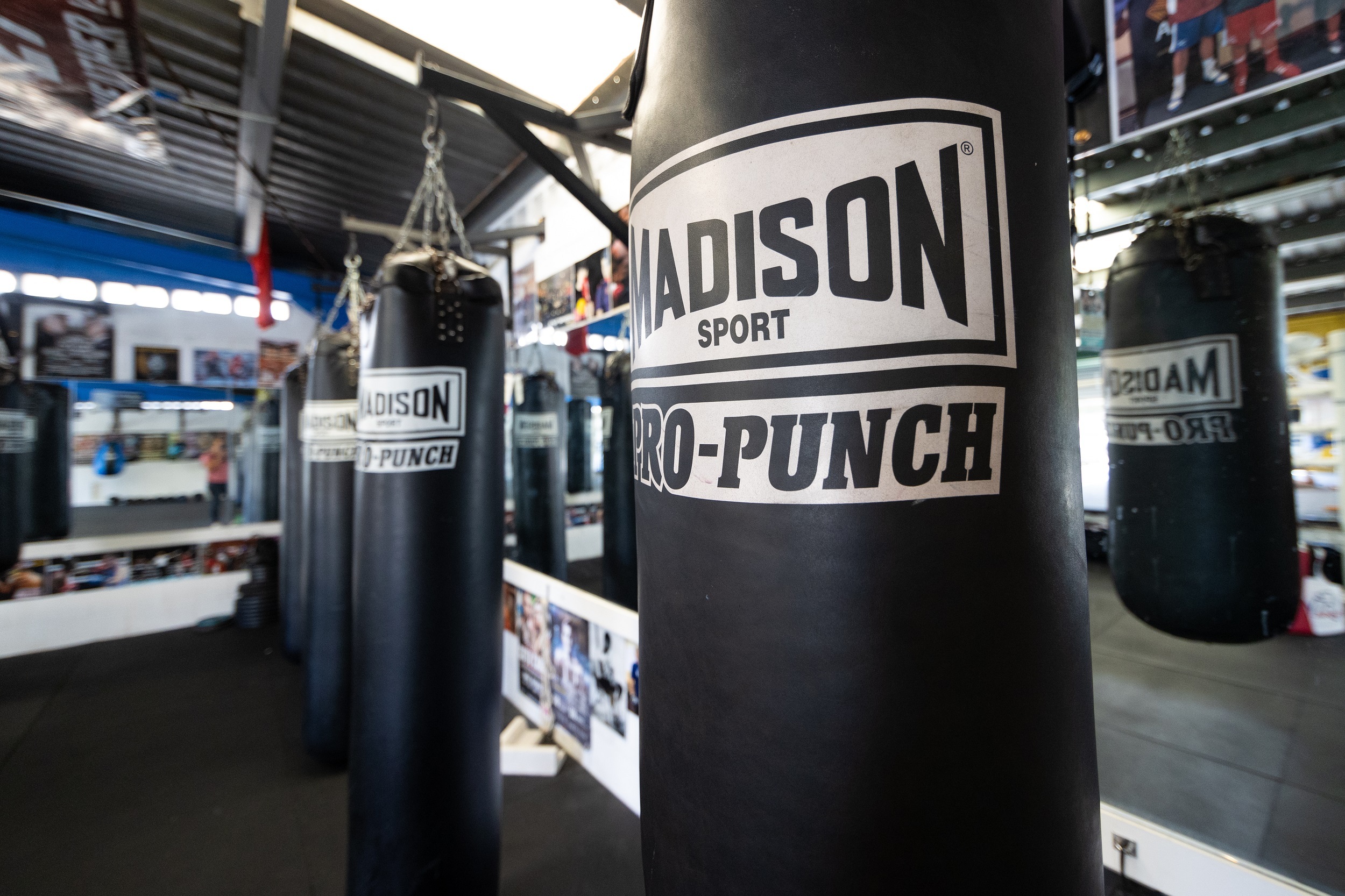 All Star Boxing opens new Academy gym at showgrounds