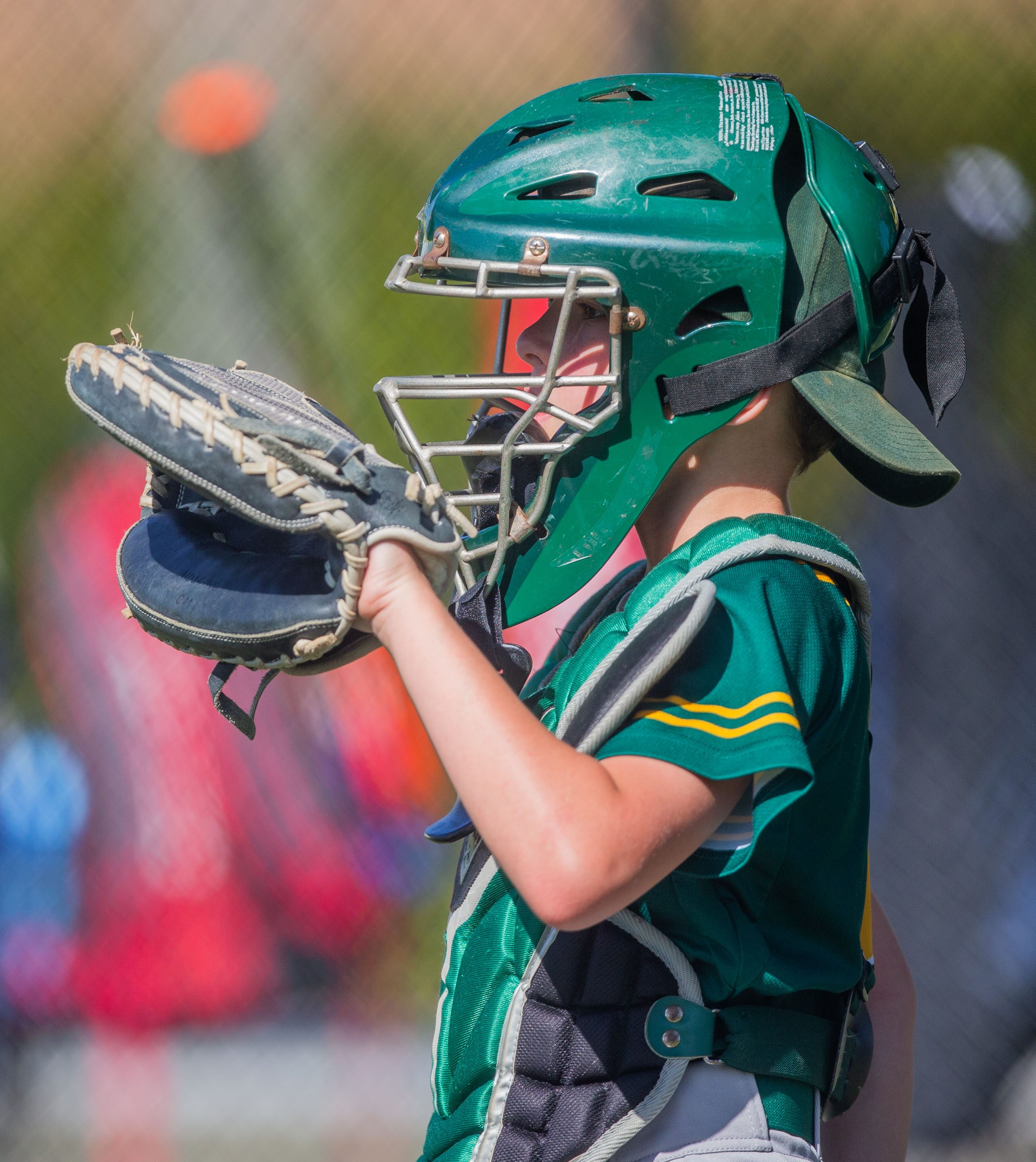 Rapids on the rise - picture gallery