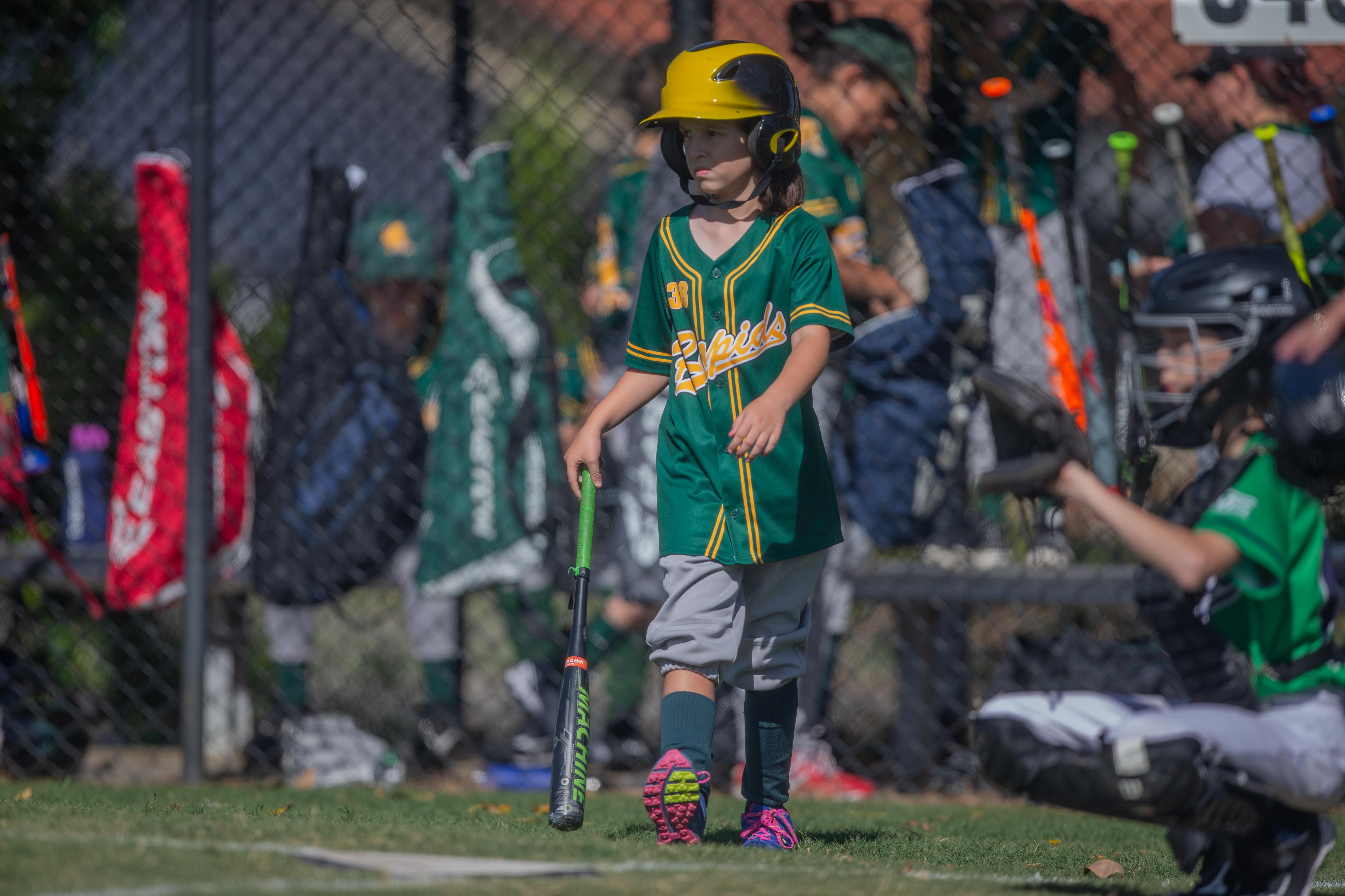 Rapids on the rise - picture gallery