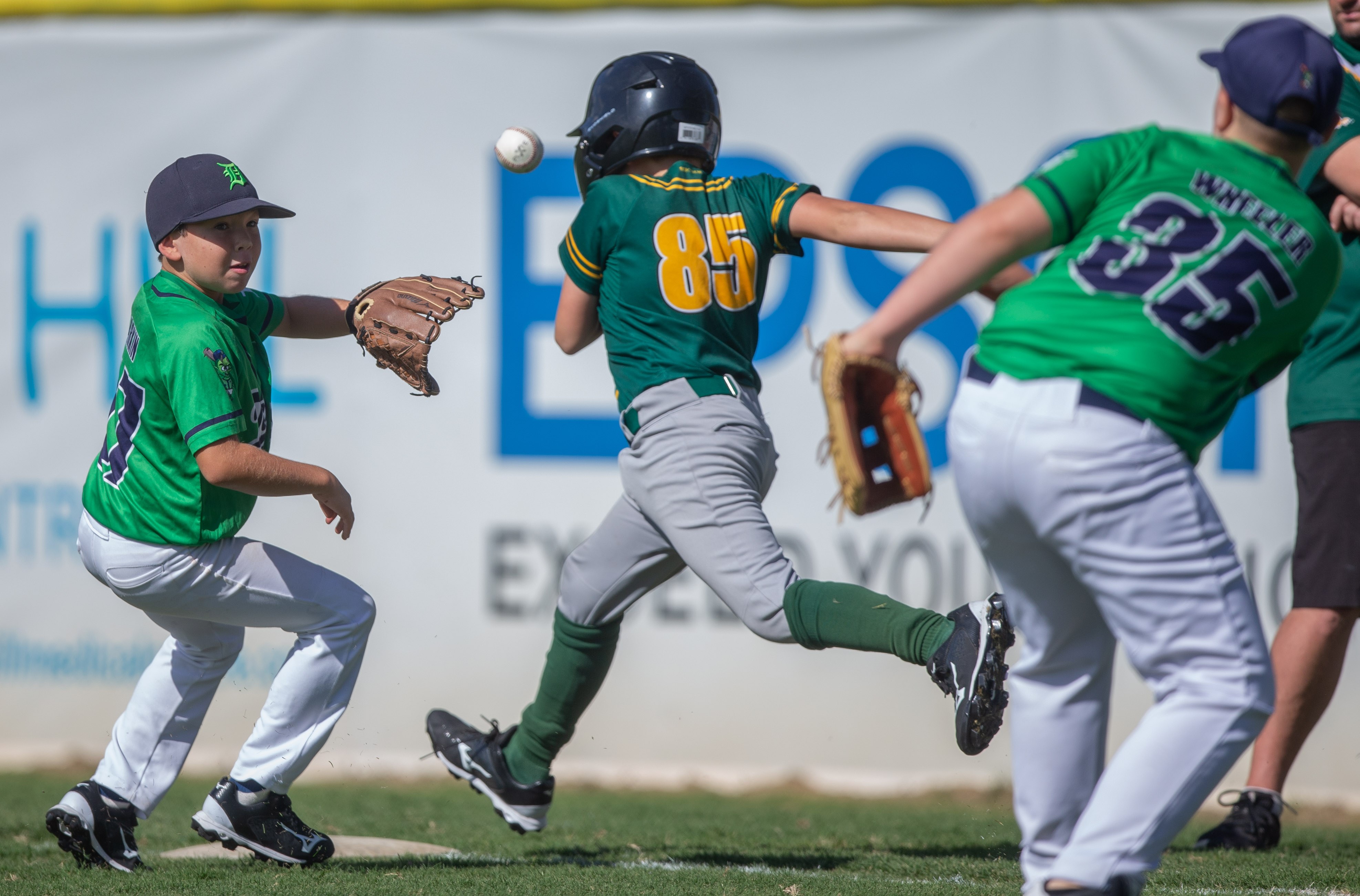 Rapids on the rise - picture gallery