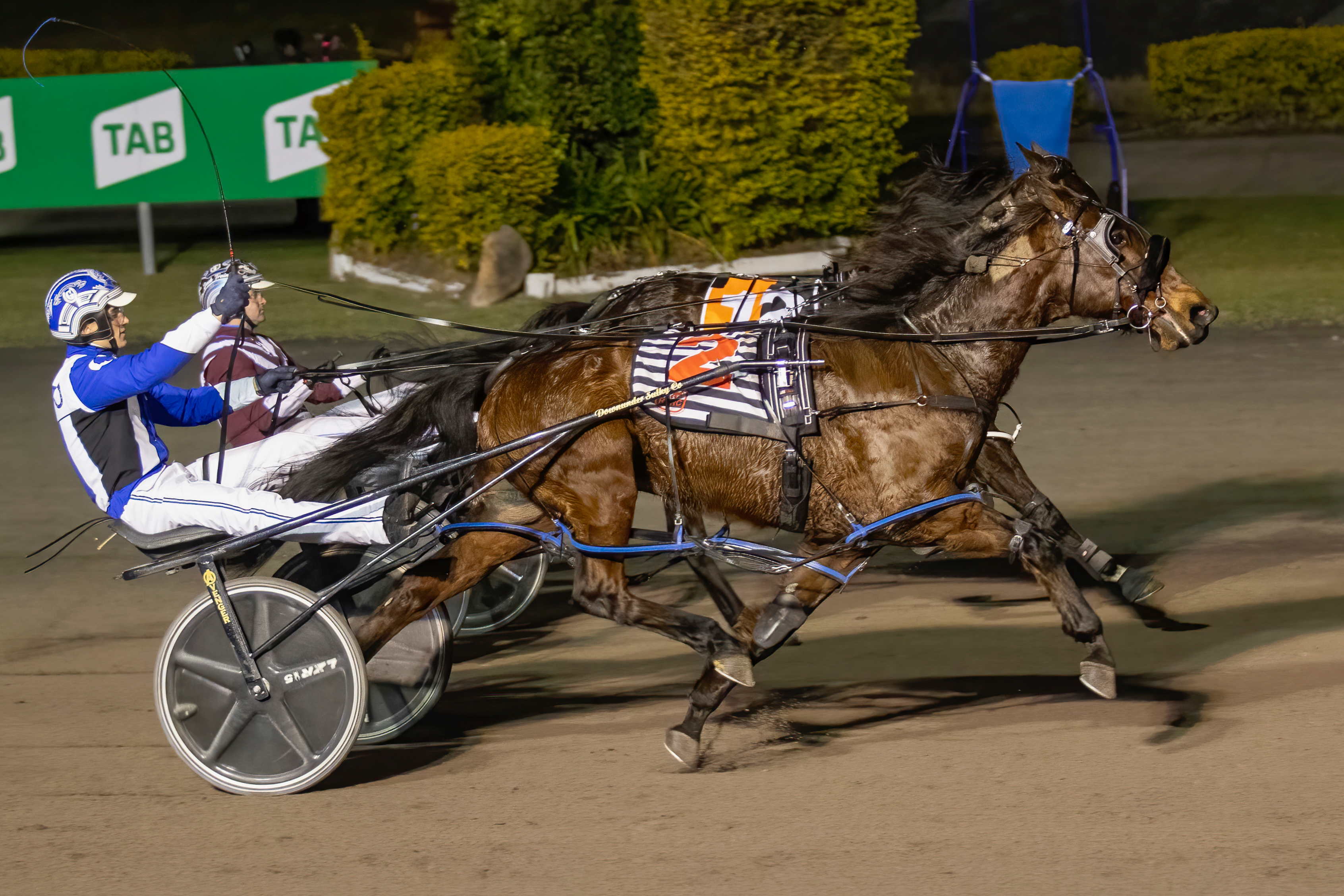 Two big nights for Redcliffe Harness Racing Club