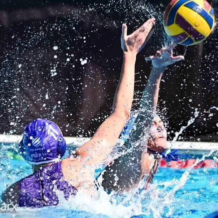 Magnificent seven for young stars