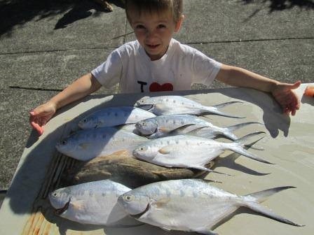 Ask Dr Dazza | Swallowtail Dart