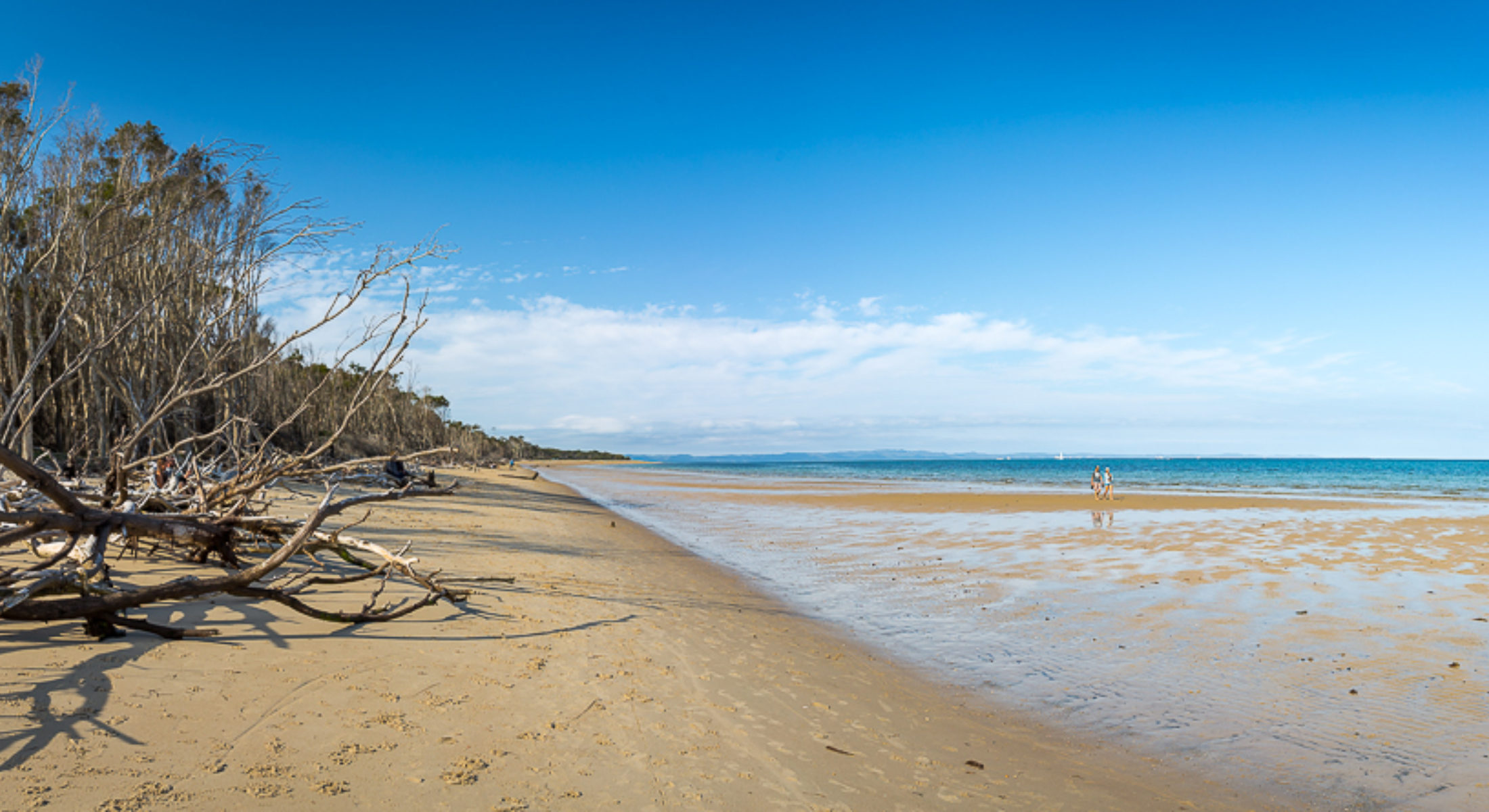 The Stories of Bribie Island - 'Land and I' project by Hayley Roberts