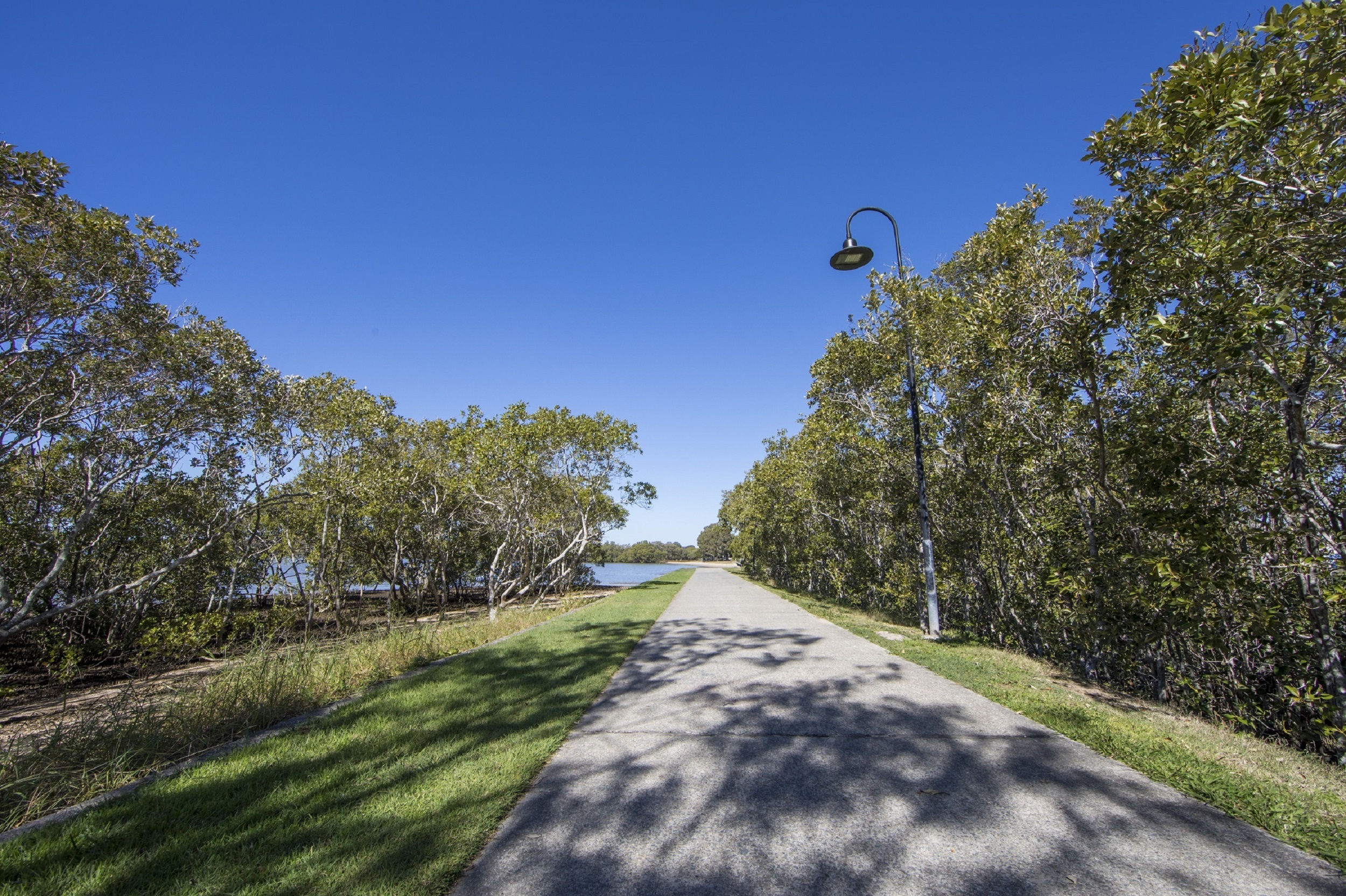 Huge support for bay suburb plan