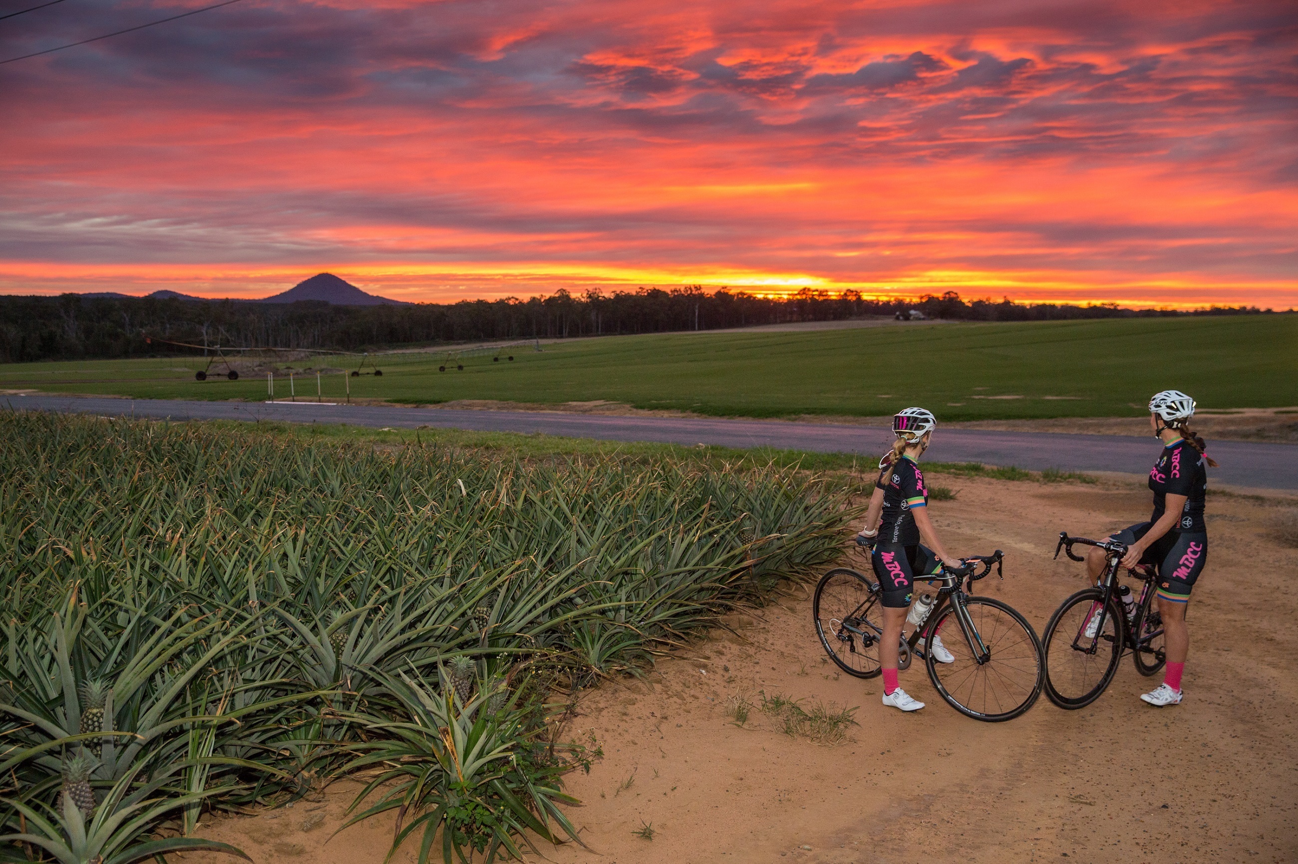 Wamuran | Moreton Bay Region