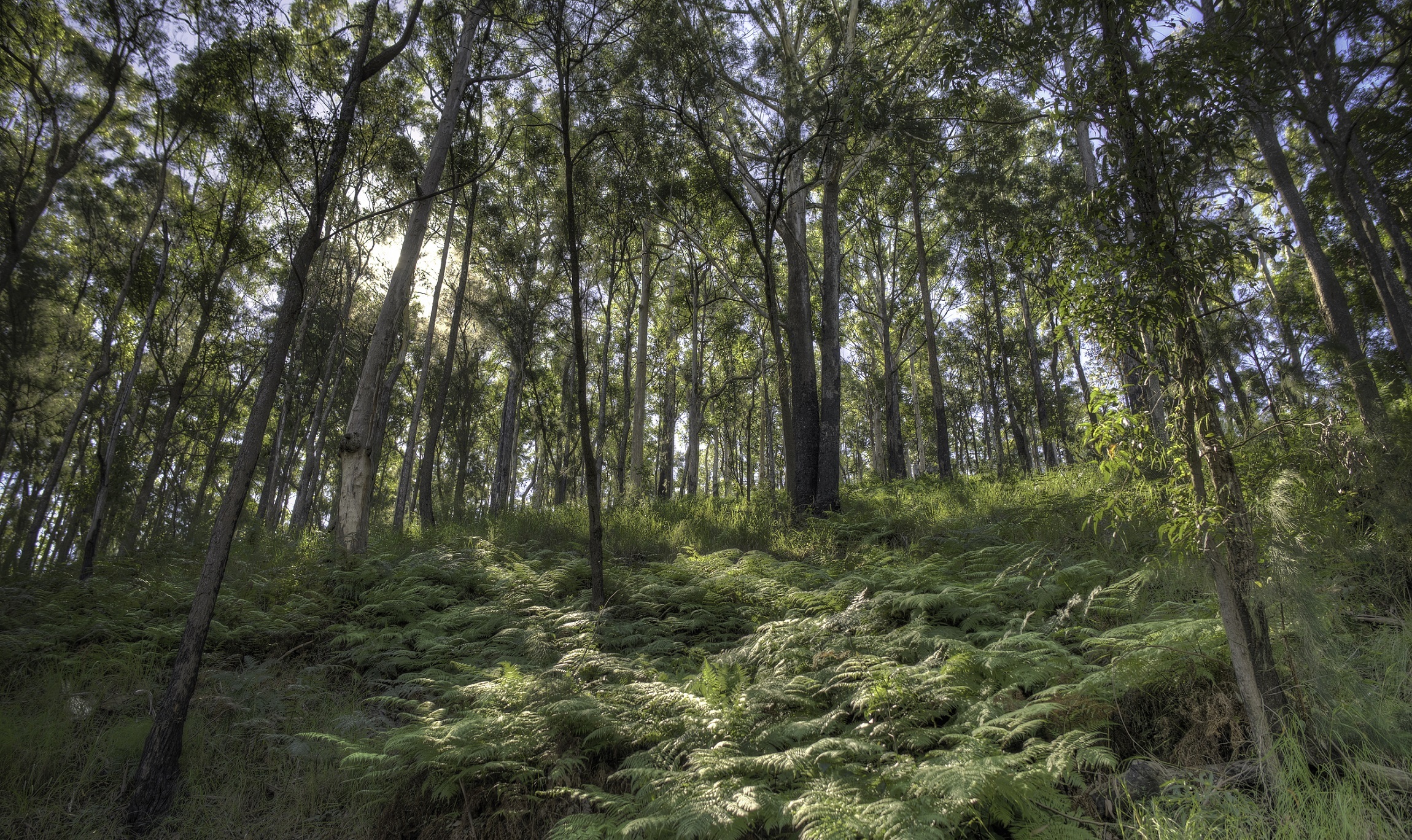 Ultimate holiday hinterland road trip