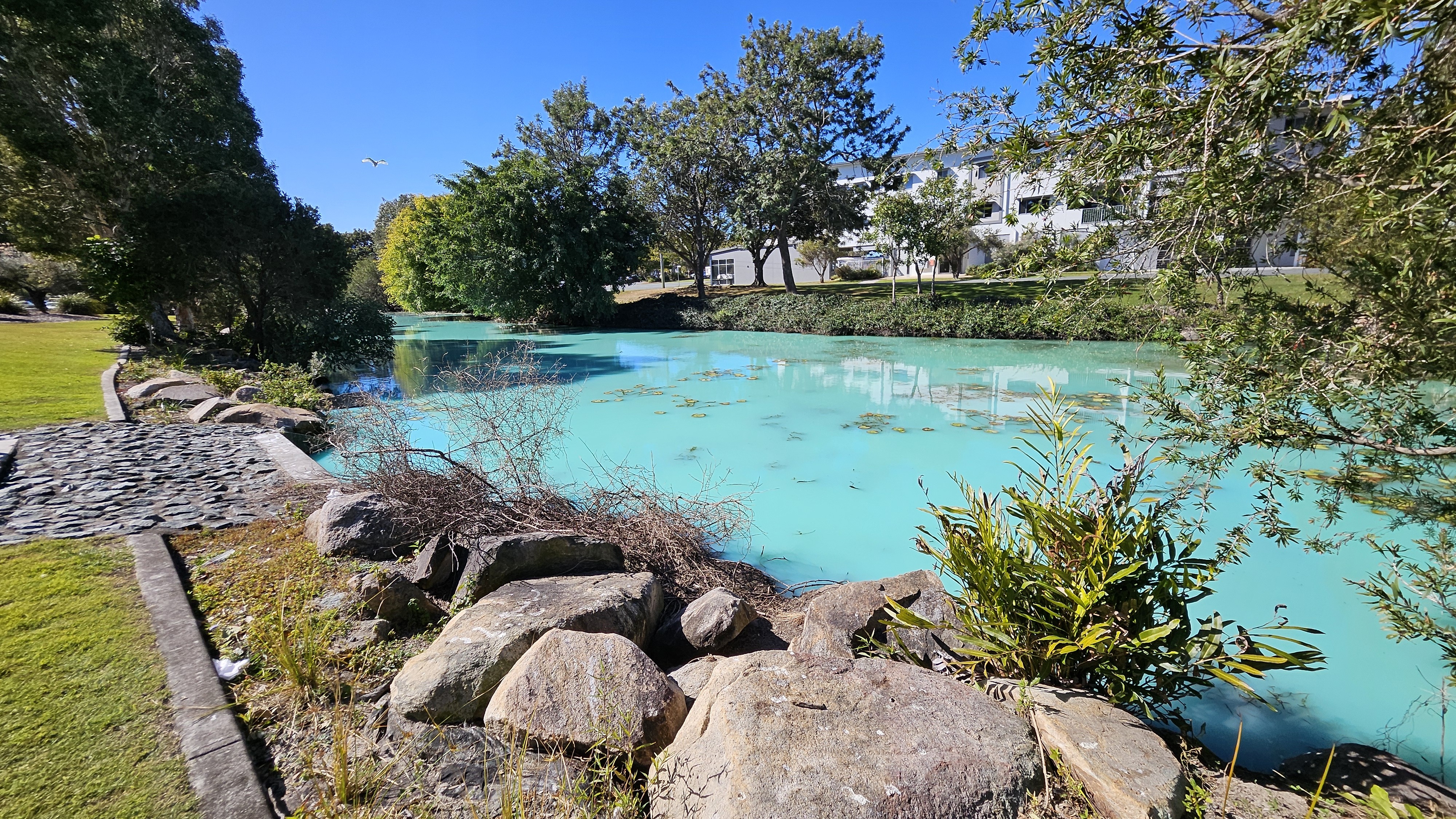 Redcliffe’s blue spill remains a mystery